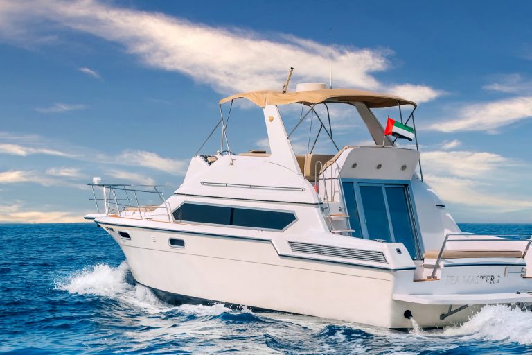 SEAMASTER 45FT - Yacht rental Dubai